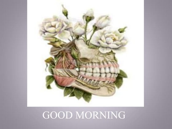 ptat 1 facial palsy 2021.pptxFacial palsy general ENT course for first ...