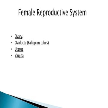 Microscopic features of ovary | PDF