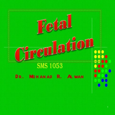 Fetal Circulation Pptx