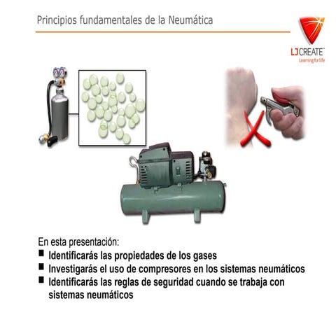 Musculos neumatico cruz jose | PDF