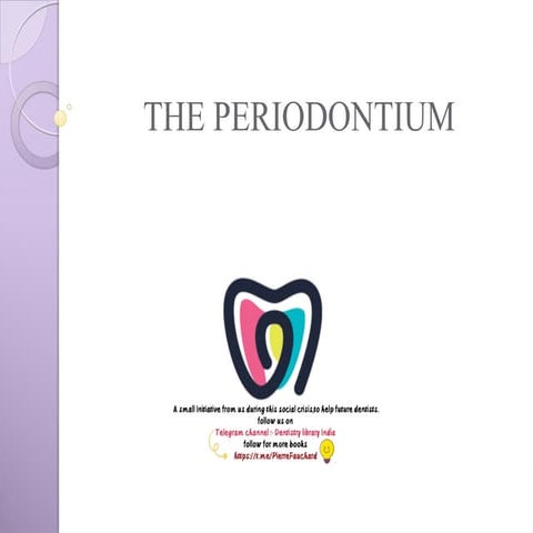 Anatomy of the Periodontium | PPT