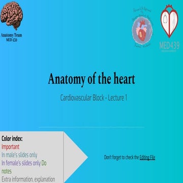 3 internal features of the heart | PPTX