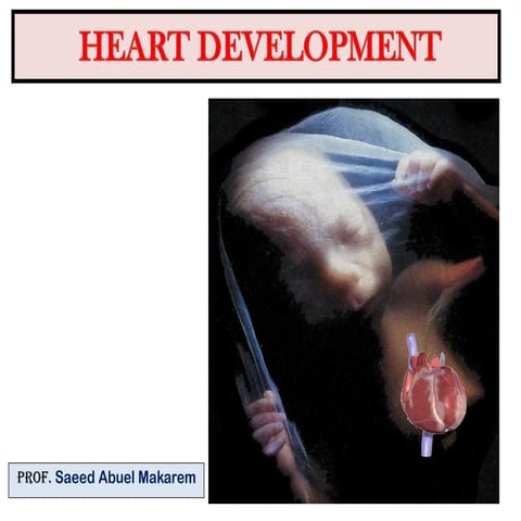Embryology of heart and understand basic heart disease | PPT