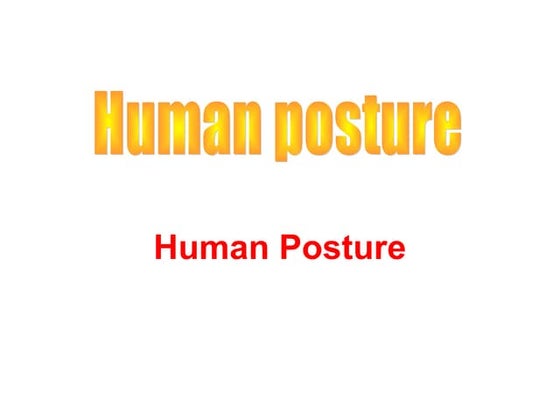 Posture | PPTX | Physical Therapy | Wellness