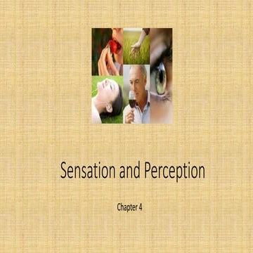 Sensation and Perception | PPTX