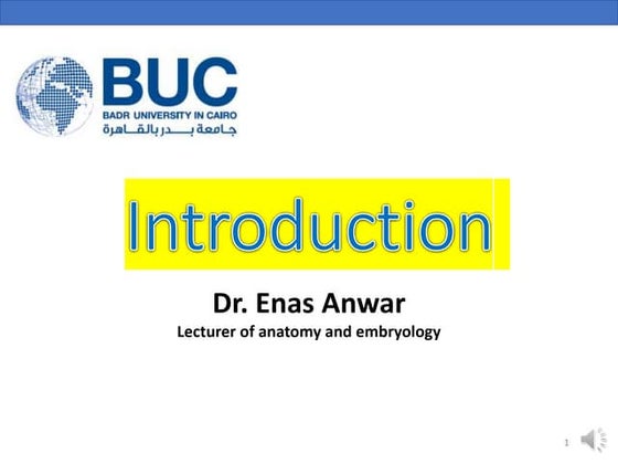 Basic anatomical terminology | PPT