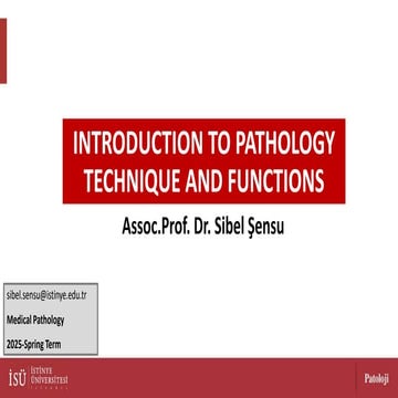 CAP_Foundation_Cancer_Protocols_June2023.pdf