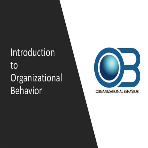 1 - Introduction to Organizational Behavior | PDF