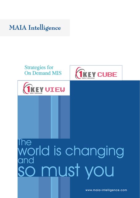 1KEY BI - Pidilite Case Study | PPT