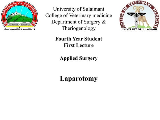 Abdominal Incision.pdf