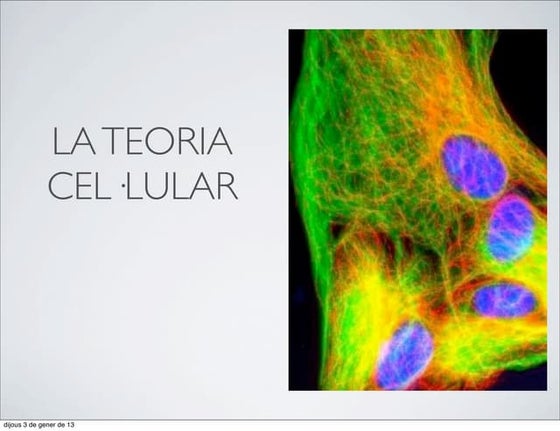 LA-CEL·LULA-VEGETAL (1).Explicacióiteoria.pdf