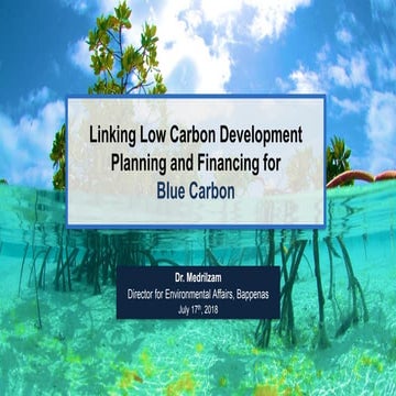 Linking Low Carbon Development Planning and Financing for Blue Carbon | PDF