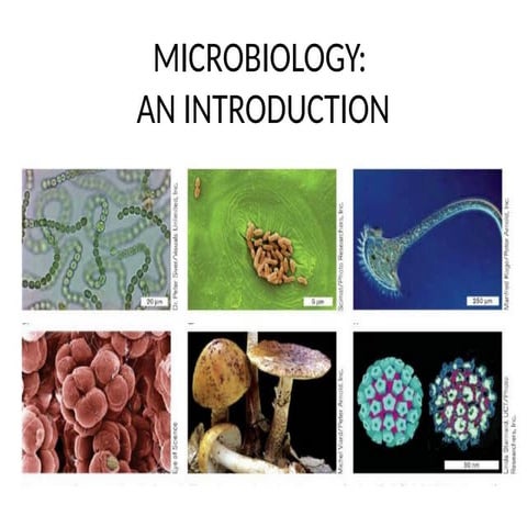 1 - content: MICROBIOLOGY an Introduction.pptx