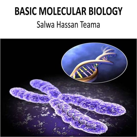 BASIC MOLECULAR BIOLOGY.pptx