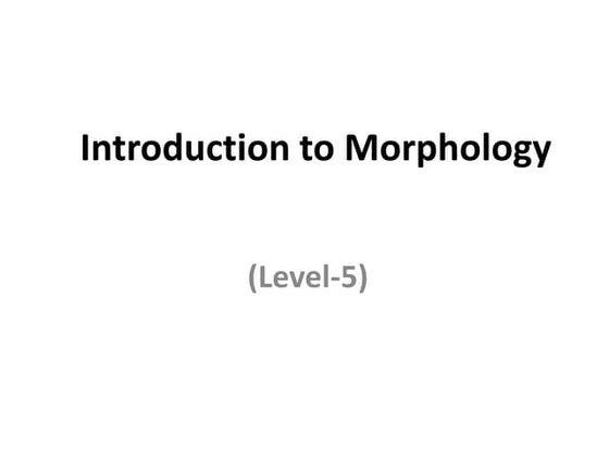 12 morphophonemics | PPT