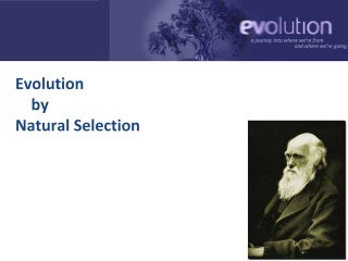 Darwin, Evolution, & Natural Selection (Intro) | PPT