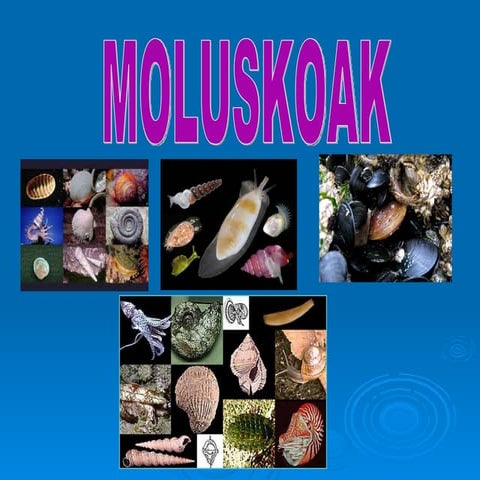 Moluskoak | PPT