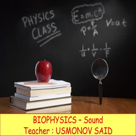 1 - pratice lesson WAVE INTERACTIONS Longitudinal Wave wave particles ...