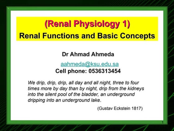 1-Renal Physiology 1 (Renal Functions & Basic Concepts).ppt