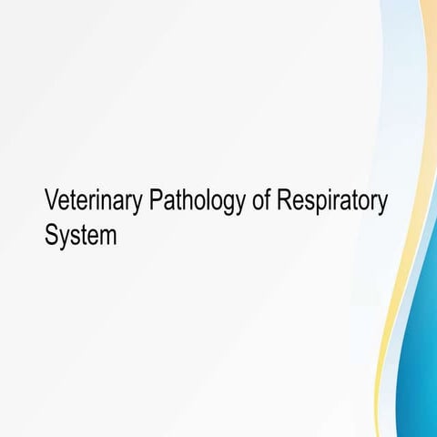 Veterinary Anatomy of Urinary system and specie difference between ...