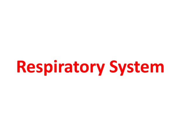 Lecture 5 the respiratory system | PPT