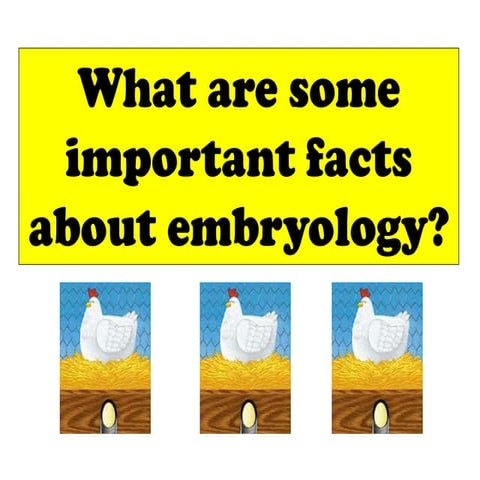 2. temporary organs grade 5 8th lesson | PPTX