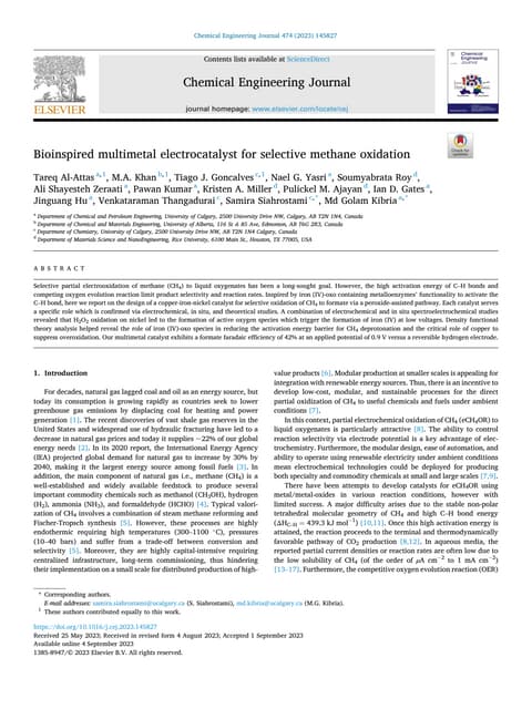 Oral_Presentation_Hassan_Mabrak_TURKEY-2024 modified.pptx