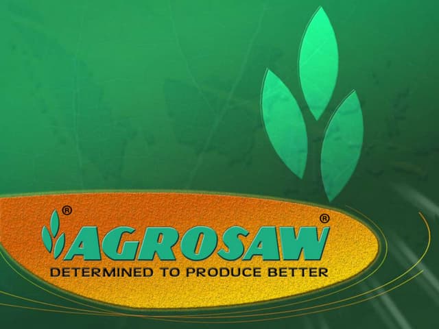 Sorting and Grading | PDF