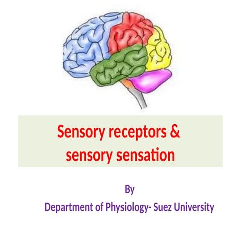 Receptors.ppt
