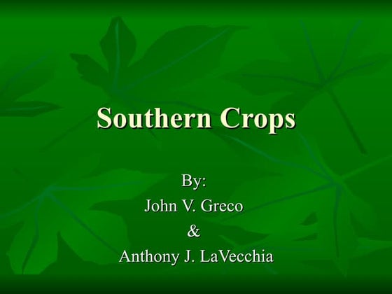 12 Cash Crops From The Thirteen Colonies | PPT