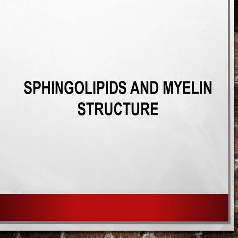 1-Sphingolipids and Myelin structure.ppt
