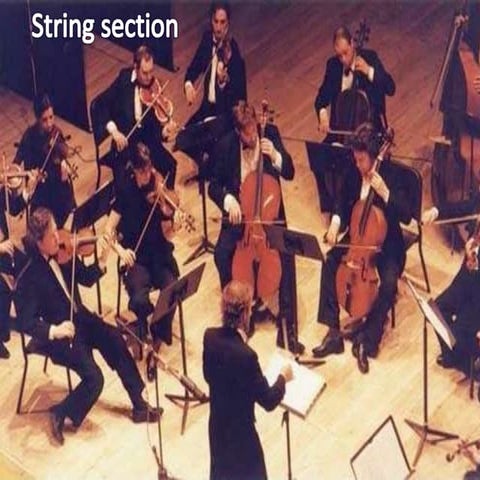 2 orchestra-reading-comprehension b | DOC