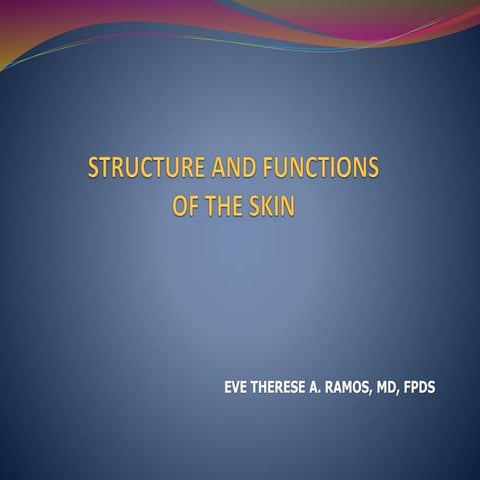 1_-Structure-And-Functions-Of-The-Skin.pdf