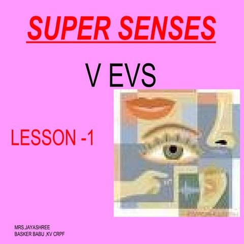 Animal Super Senses Lesson 1 Interesting | PPT