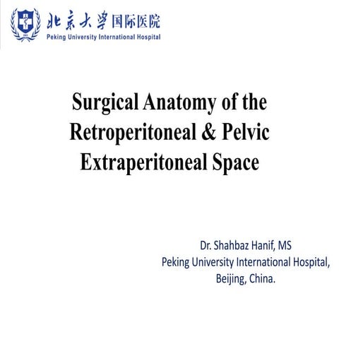 1- Surgical Anatomy of the Retroperitoneal & Pelvic Extraperitoneal ...