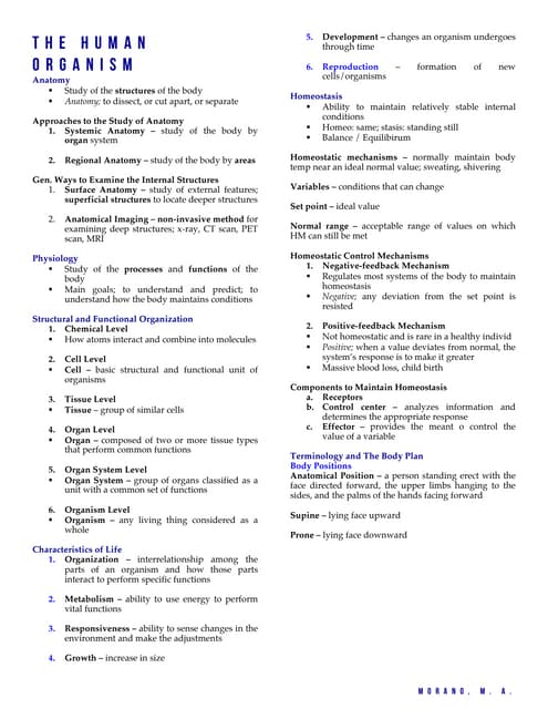 Introduction to Human Anatomy | PPTX