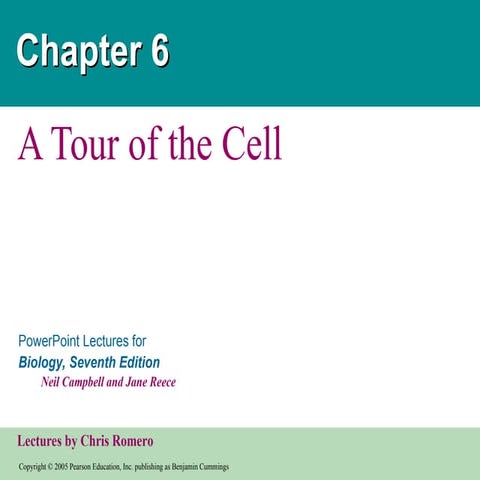 Ch 6: A Tour of the Cell | PPT