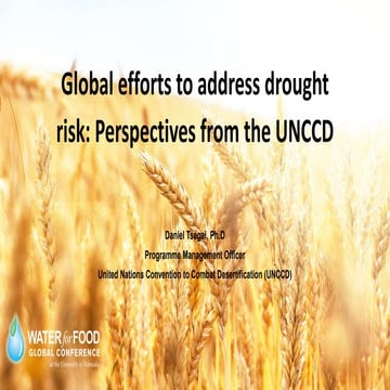 Global efforts to address drought risk: Perspectives from the UNCCD ...
