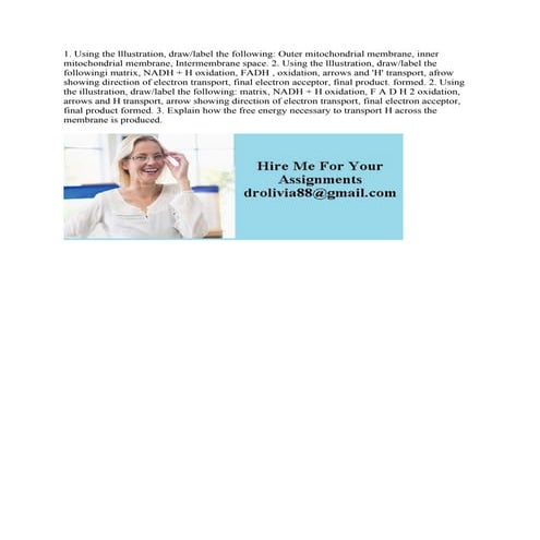 1- Using the lllustration- draw-label the following- Outer mitochondri.pdf
