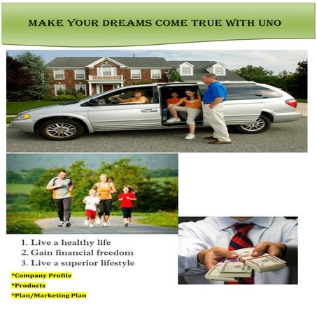 1.UNO company profile | PDF