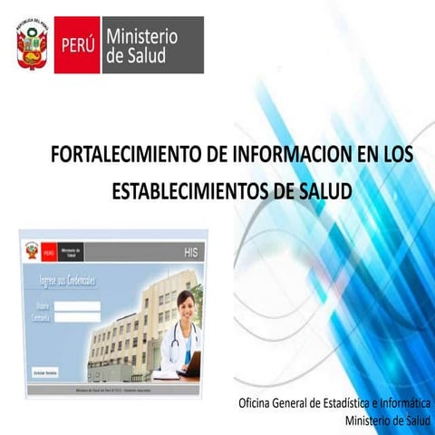 1-VISIÓN HIS-MINSA.pptx