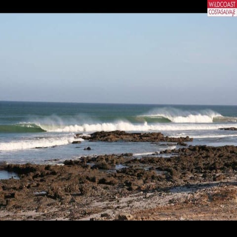 1 zach plopper - conference introduction | PPT