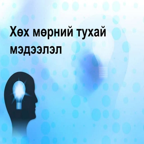 Narnii aimag | PPTX