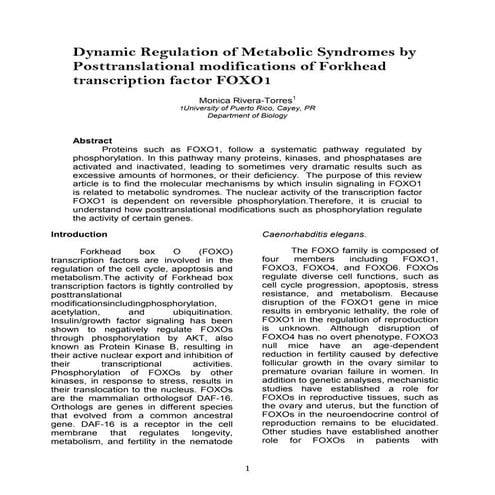 10. monica rivera second draft revised 3 | DOCX