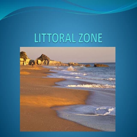 10. littoral zone | PPSX