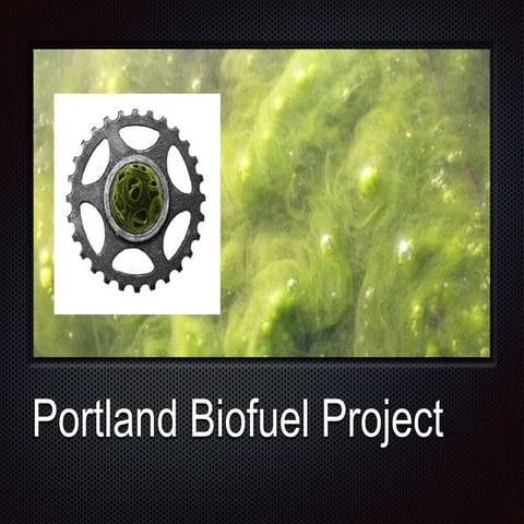 PDX Biofuel Project Executive Summary | PPTX