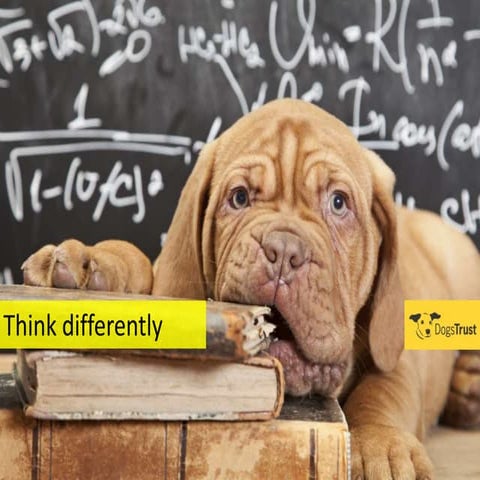ICAWC 2015 - Nick Daniel - Standing out from the crowd | PPTX
