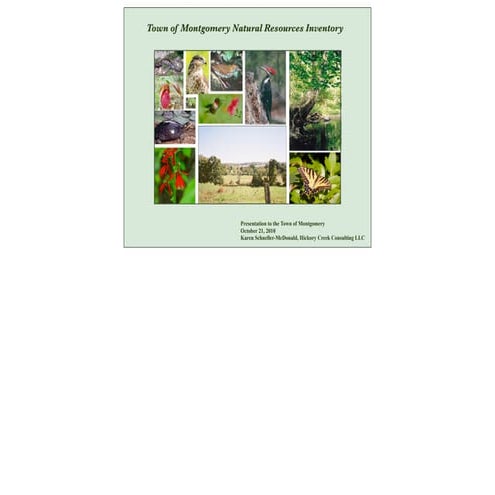 Natural Resources Inventory | PDF