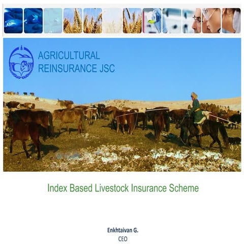 10.03.2016 index based livestock insurance scheme and introduction of ...