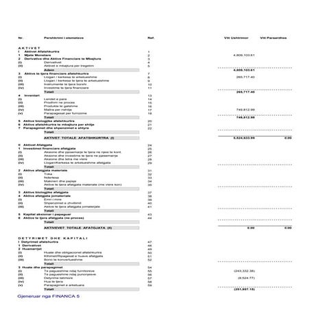 10. bilanci fiskal | PDF